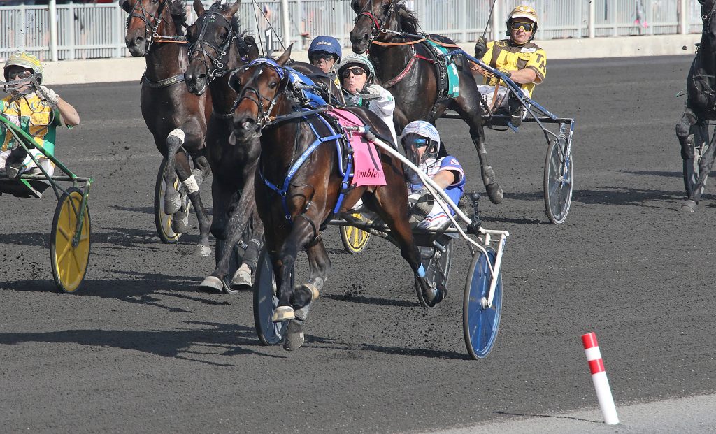 BIG M THE (EPI)CENTER OF ACTION THIS SATURDAY - Meadowlands Racing ...