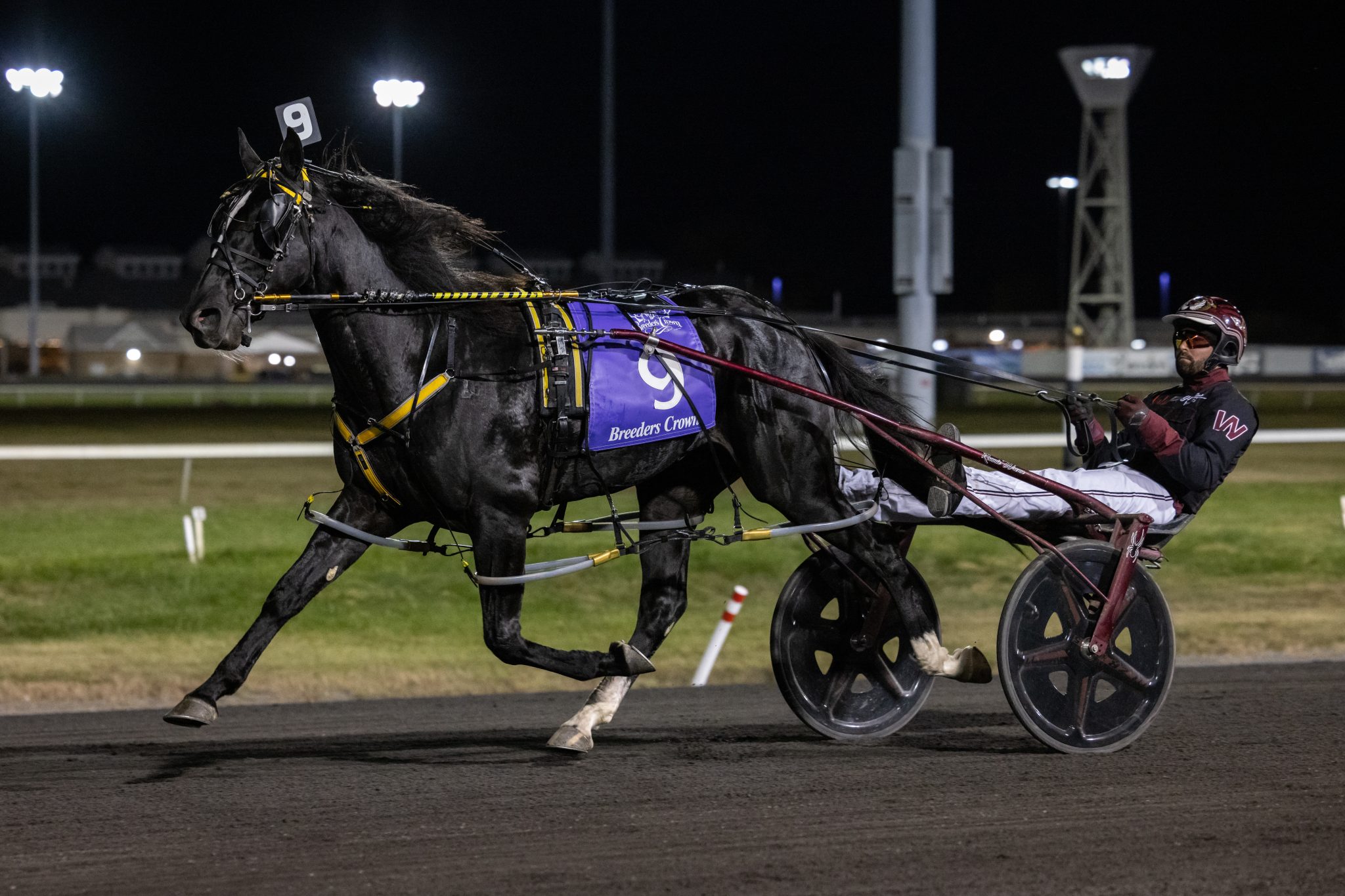 Dave Little's Road to the 2025 Meadowlands Pace Week 1 - Meadowlands ...